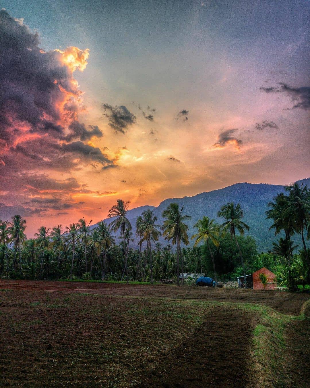 5 Best Hill Stations In Tamil Nadu - Geek of Adventure