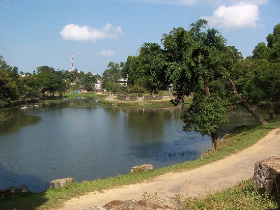 Jatinga: The Suicide point of Birds - Geek of Adventure