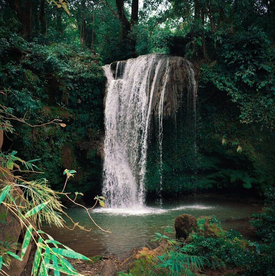 Trip to Jim Corbett National Park - Geek of Adventure