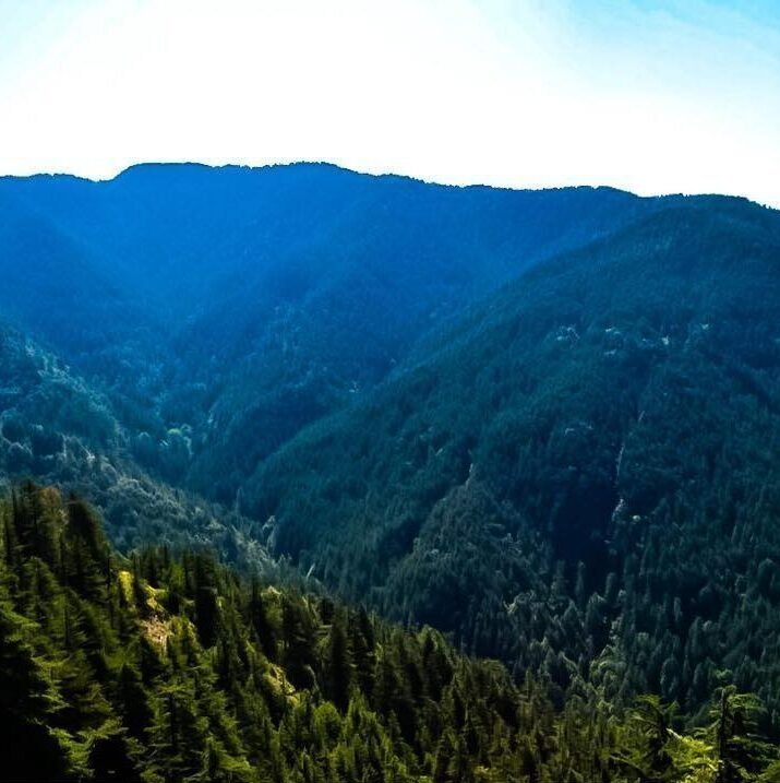 23 Famous Tourist Places to Visit in Shimla - Geek of Adventure