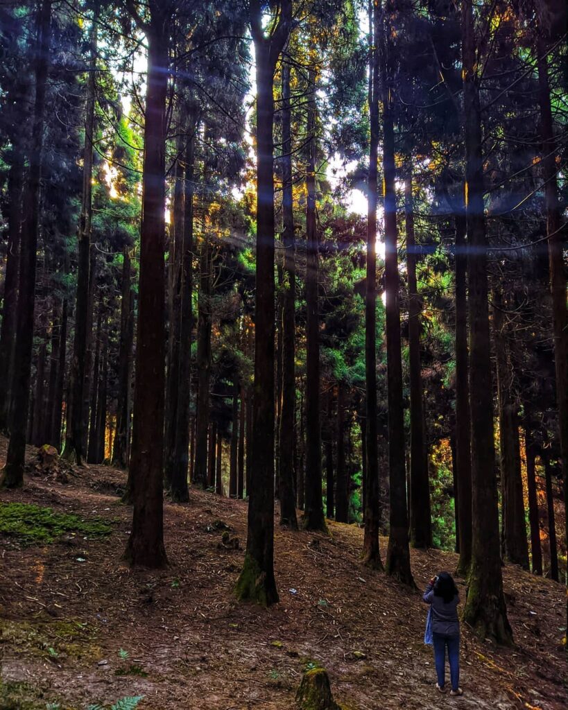 Lava-Lolegaon Tourism: Best Places to visit in Lava Lolegaon | Best ...