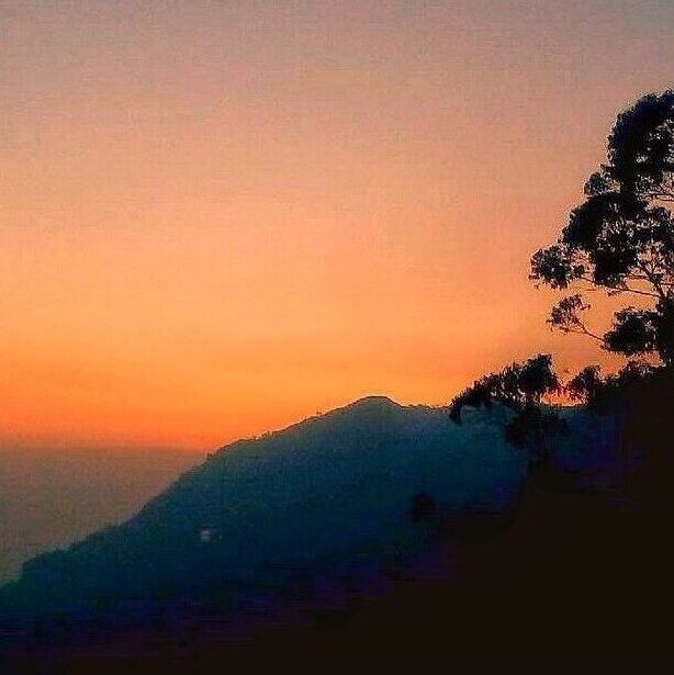 9 Famous Tourist Places in Munnar - Geek of Adventure