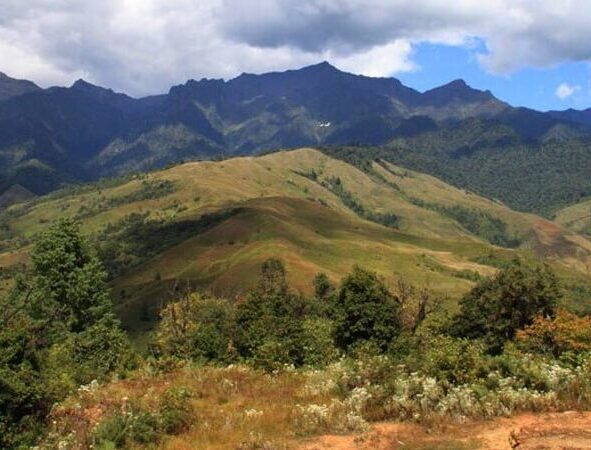 Ziro Tourism: 7 Famous Places to Travel | Best time to Visit | How to ...