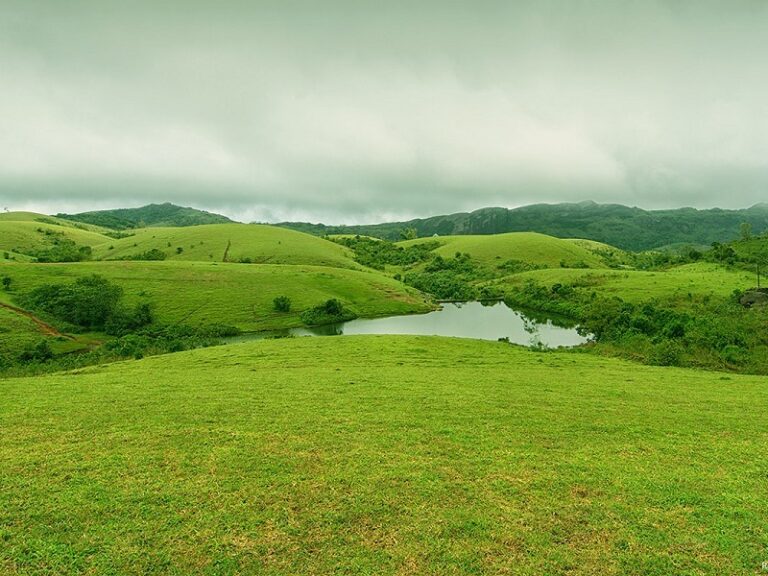 Top 11 Famous Tourist Places In Vagamon - Geek of Adventure