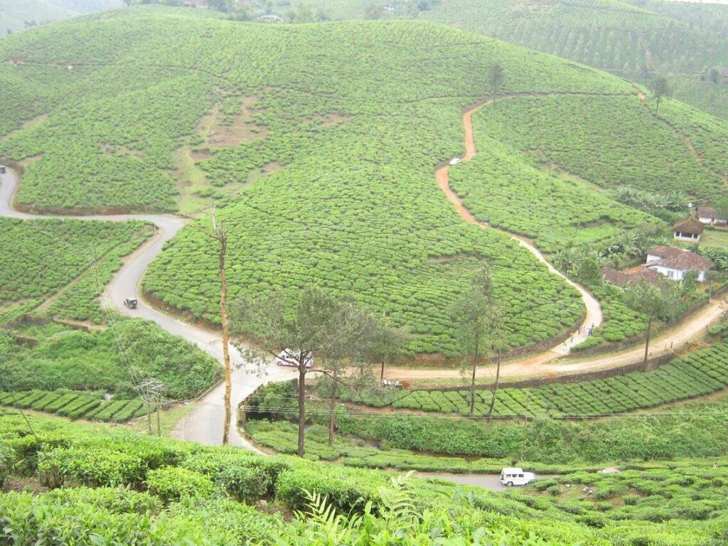 Top 11 Famous Tourist Places In Vagamon - Geek of Adventure