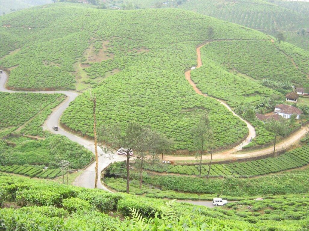 Top 11 Famous Tourist Places In Vagamon - Geek of Adventure